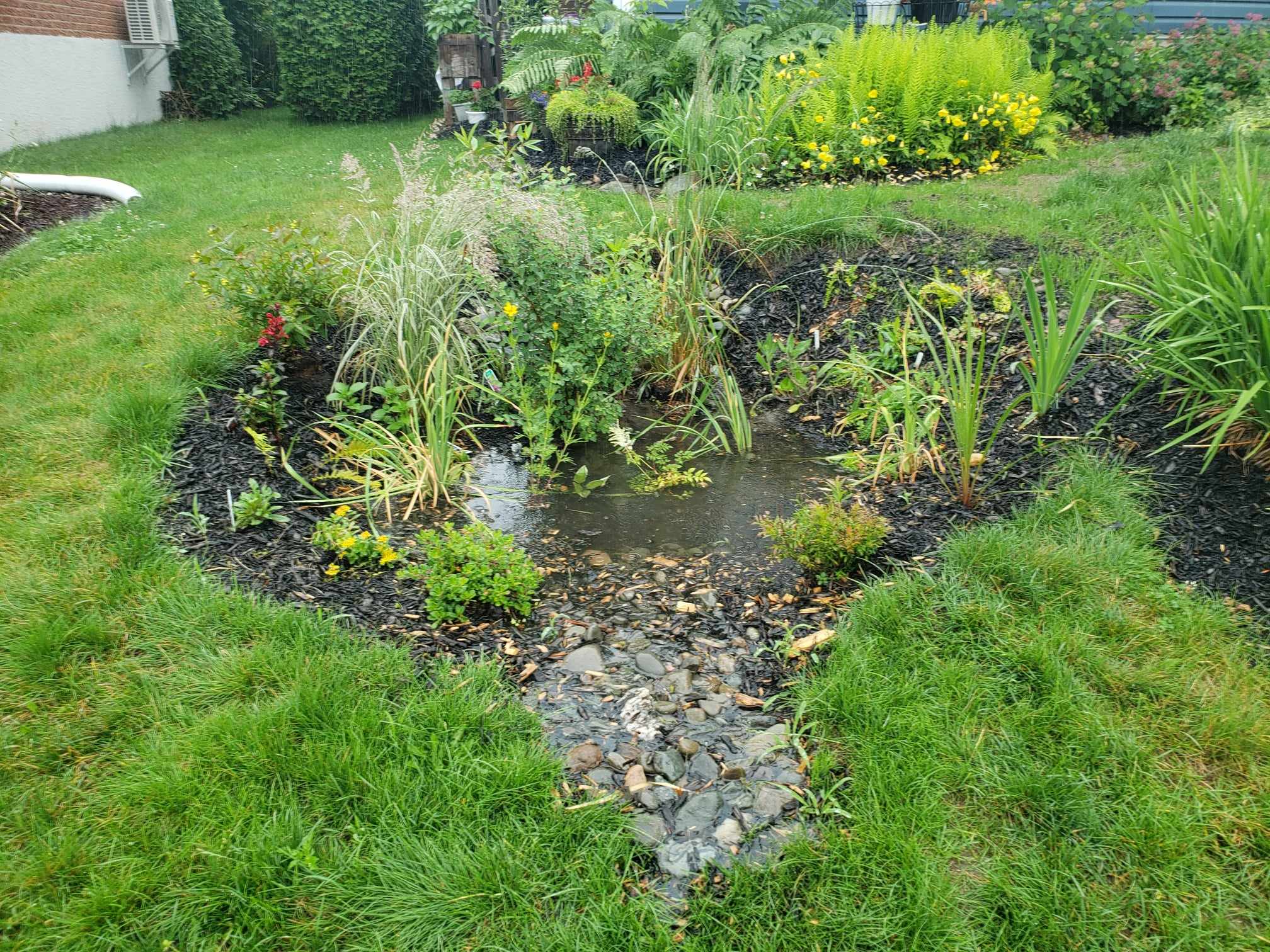 Prime Eau pluviale | Ville de Wavre